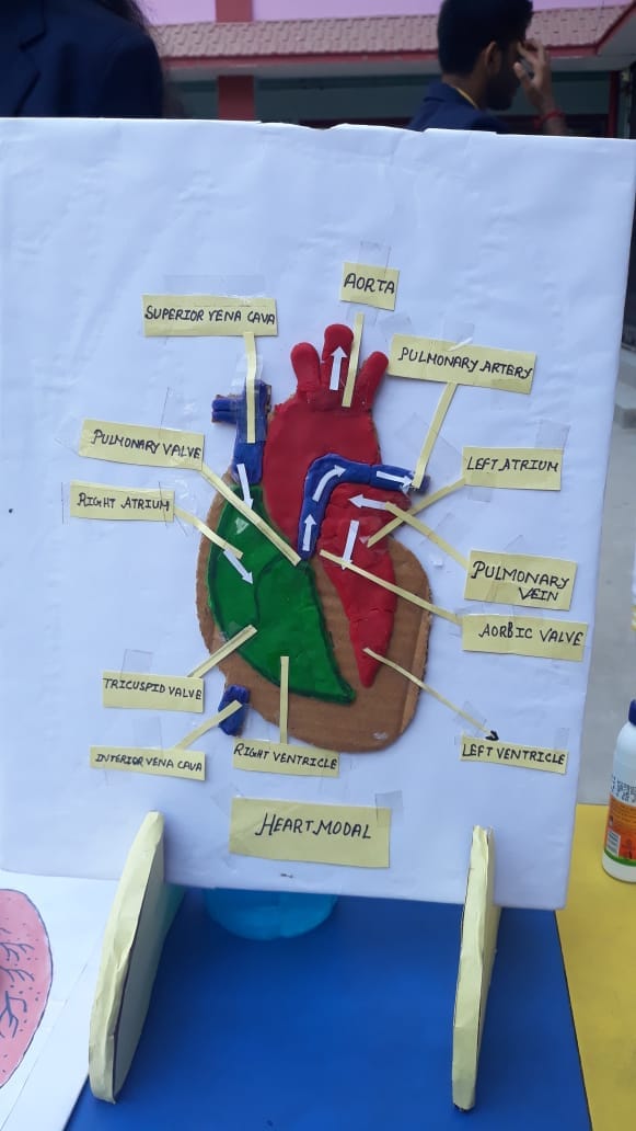 SCIENCE EXHIBITION – Bodhisukha School